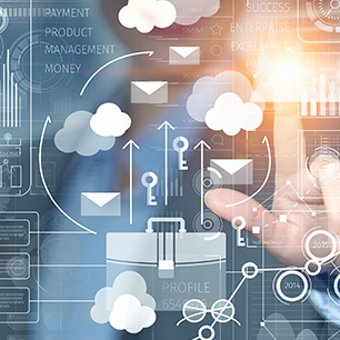 Servicii profesionale - Network One Distribution